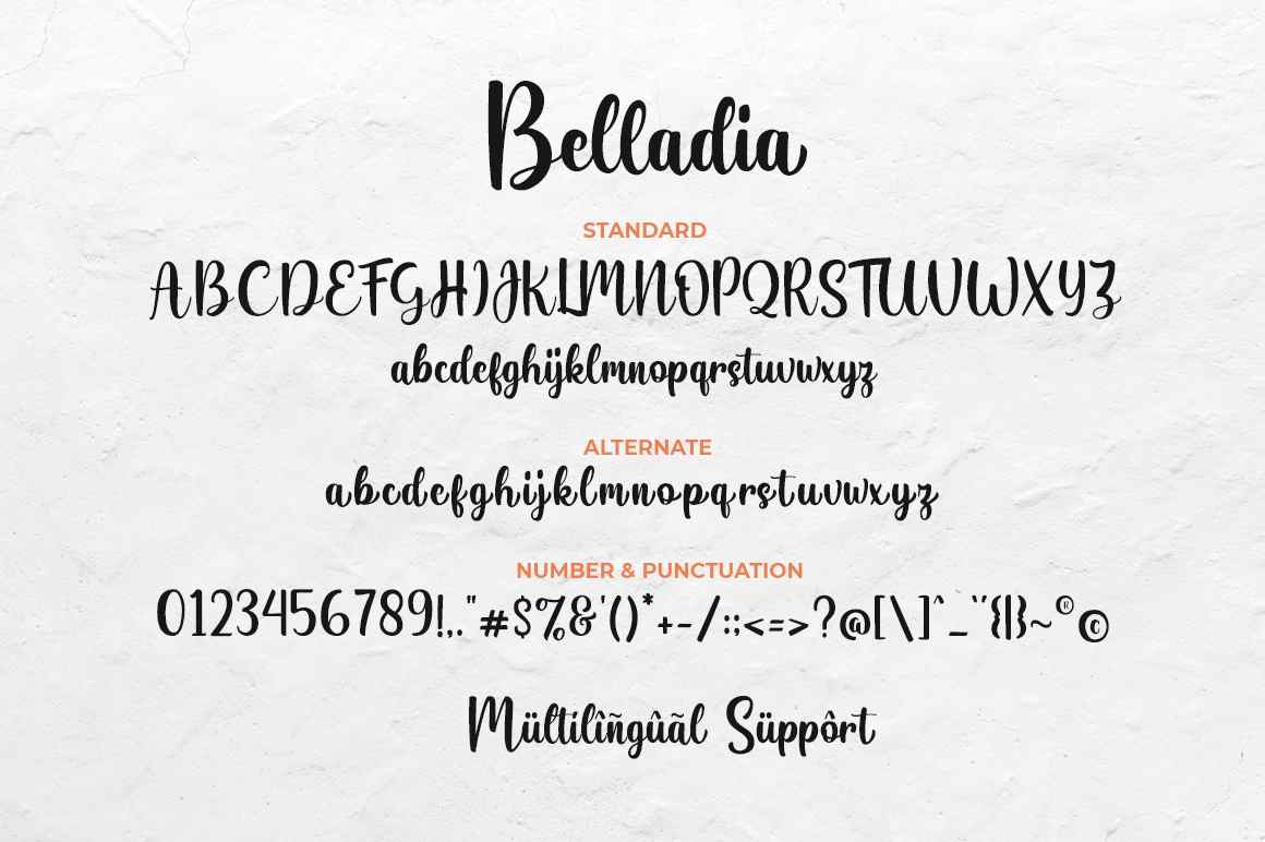 Belladia Script - subystudio.com