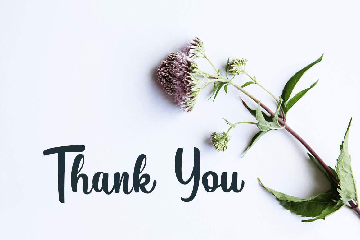 Belladia Script - subystudio.com